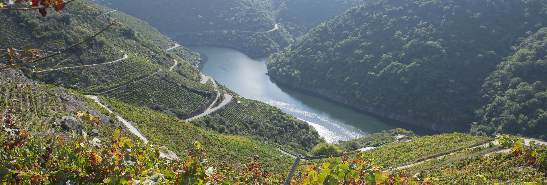 Denominación de Origen Ribeira Sacra